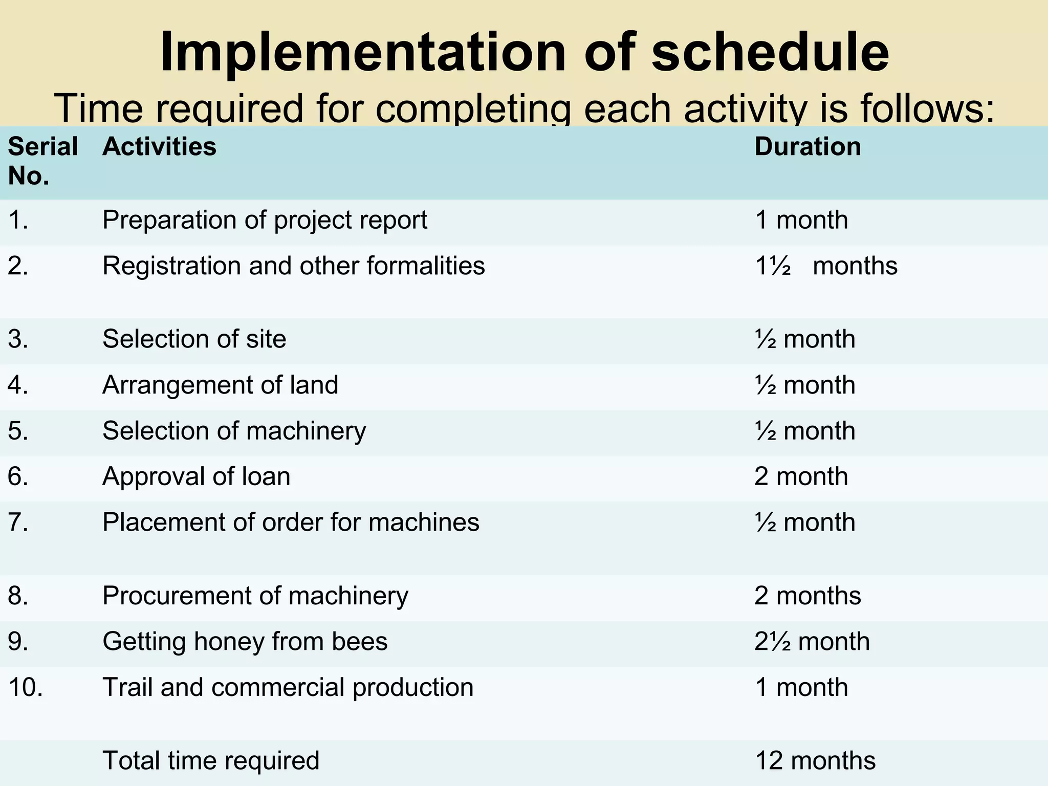 Beekeeping Business plan | PPT