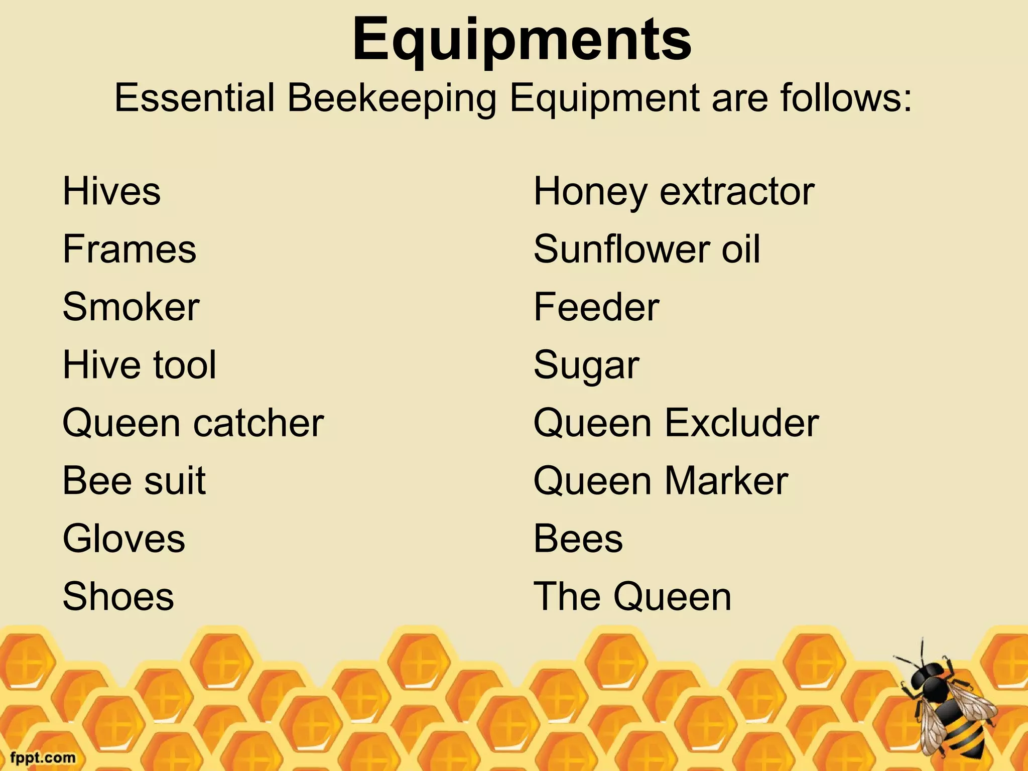 Beekeeping Business plan | PPT