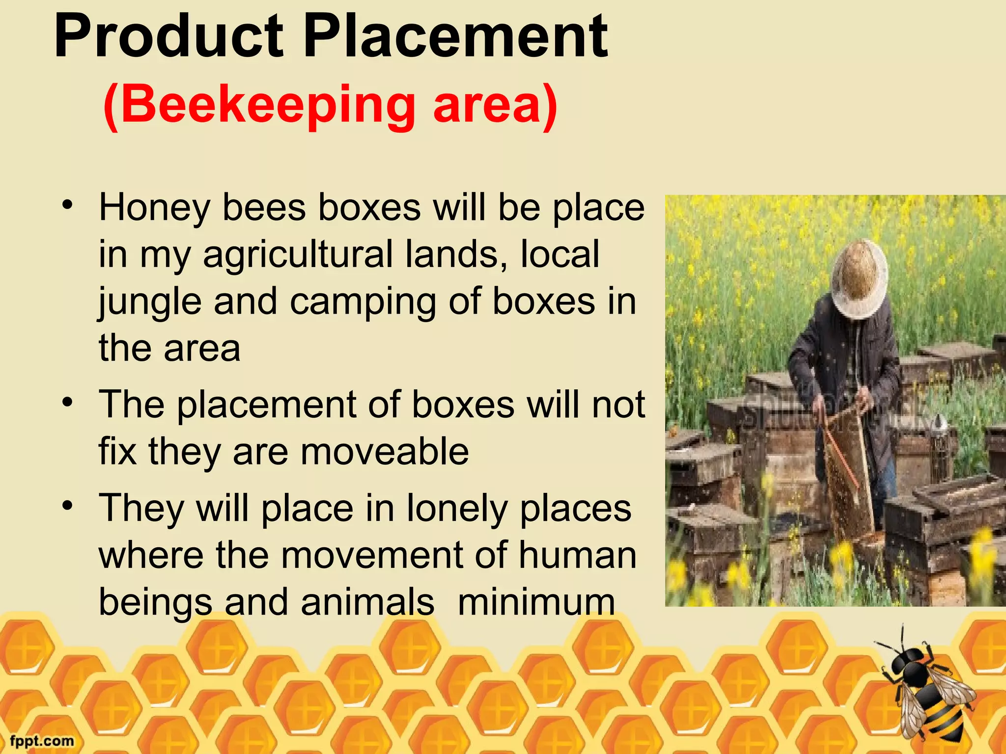 Beekeeping Business plan | PPT