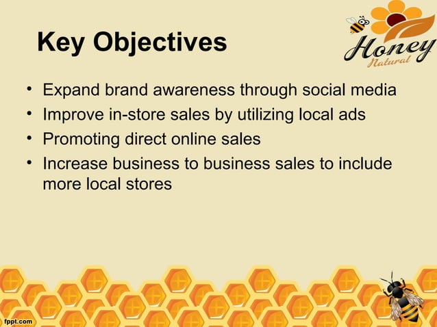Beekeeping Business plan | PPT | Beekeeping | Hobbies & Interests