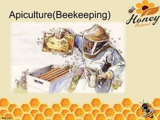 Beekeeping Business plan | PPT