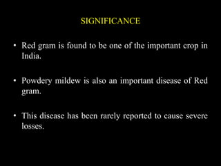 POWDERY MILDEW OF RED GRAM | PPTX