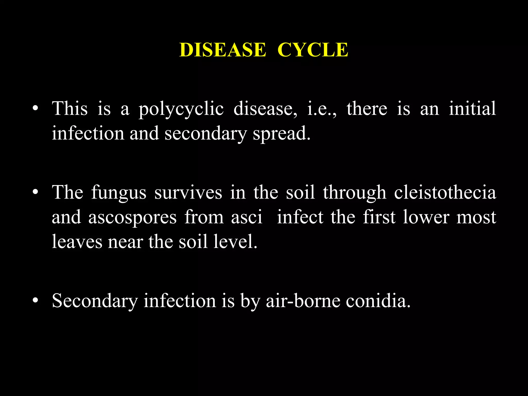 POWDERY MILDEW OF CASTOR | PPTX
