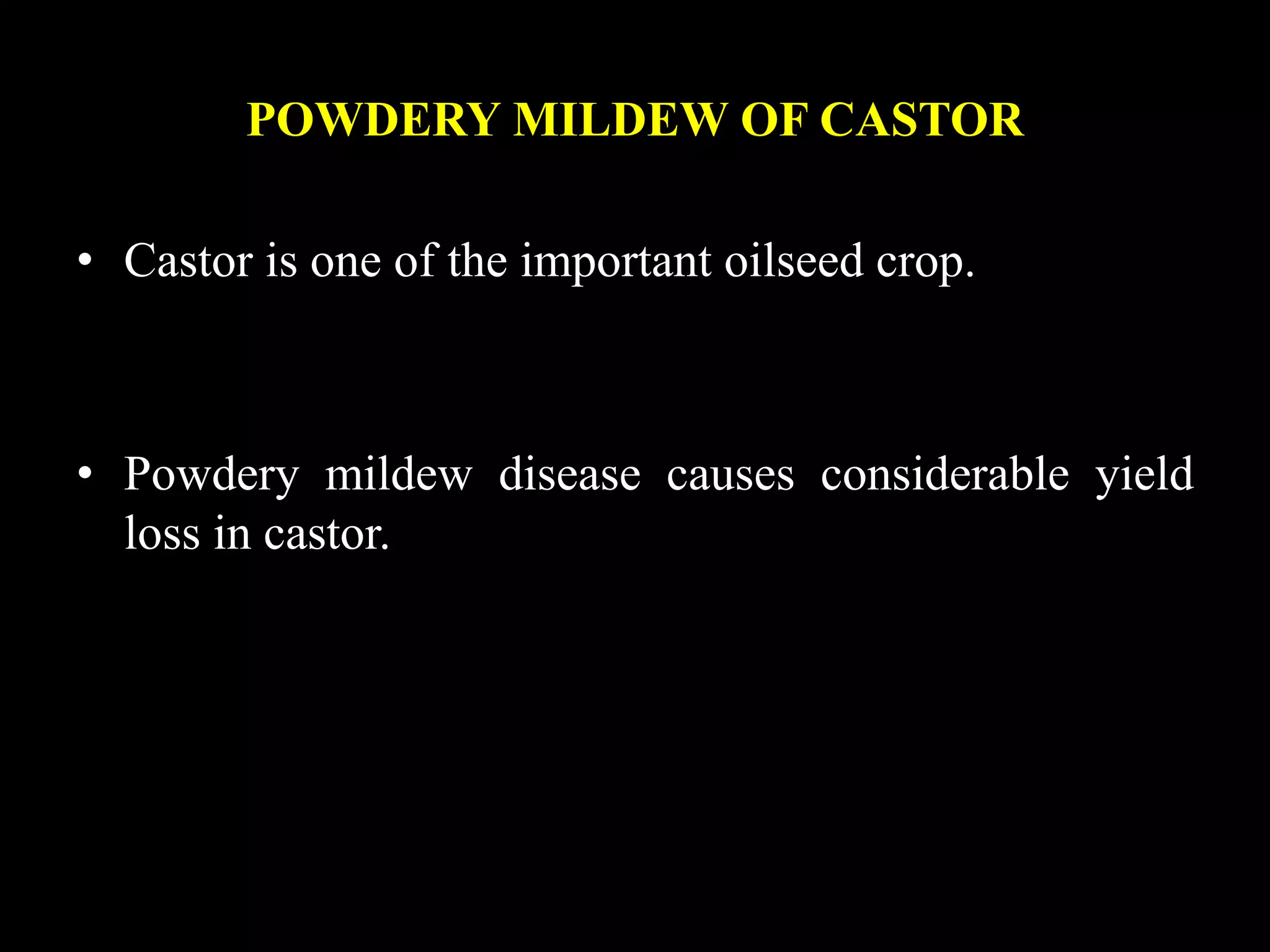 POWDERY MILDEW OF CASTOR | PPTX