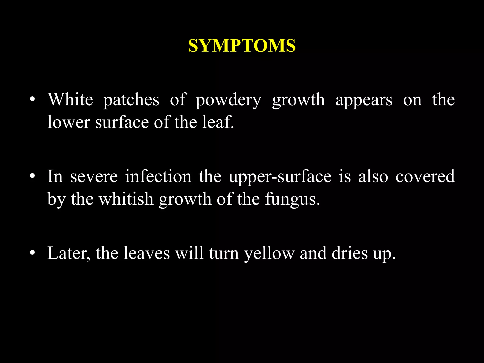 POWDERY MILDEW OF CASTOR | PPTX
