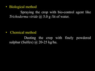 POWDERY MILDEW OF CASTOR | PPTX