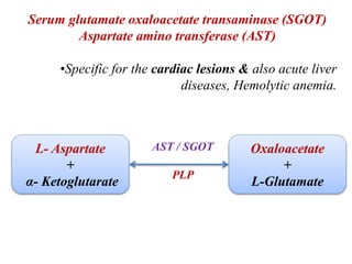 AAM-2- General reactions of amino acids | PPTX