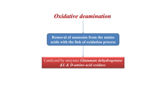 M-2- General Reactions of amino acids.pptx