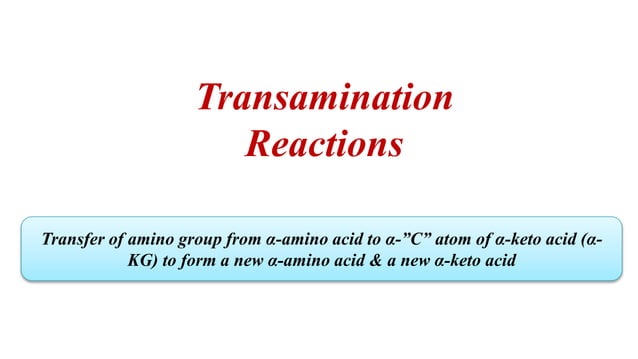 M-2- General Reactions of amino acids.pptx | Chemistry | Science
