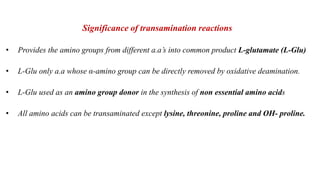 M-2- General Reactions of amino acids.pptx