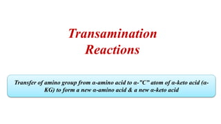 M-2- General Reactions of amino acids.pptx