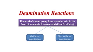 M-2- General Reactions of amino acids.pptx