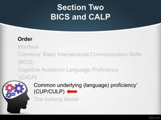 Basic Interpersonal Communication Model