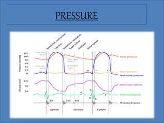 cardiac cycle | PPT