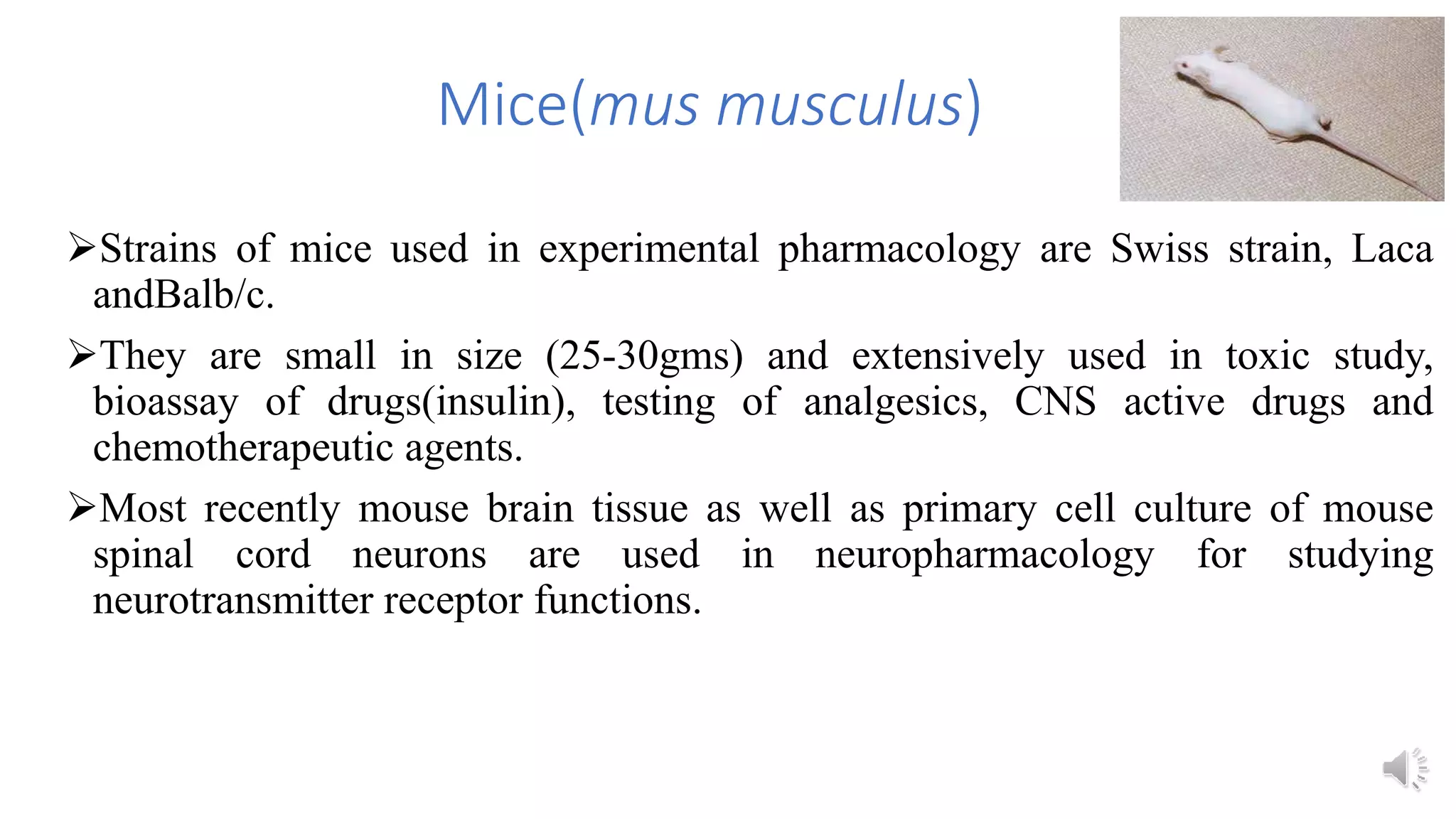 common laboratory animals part 1 | PPTX