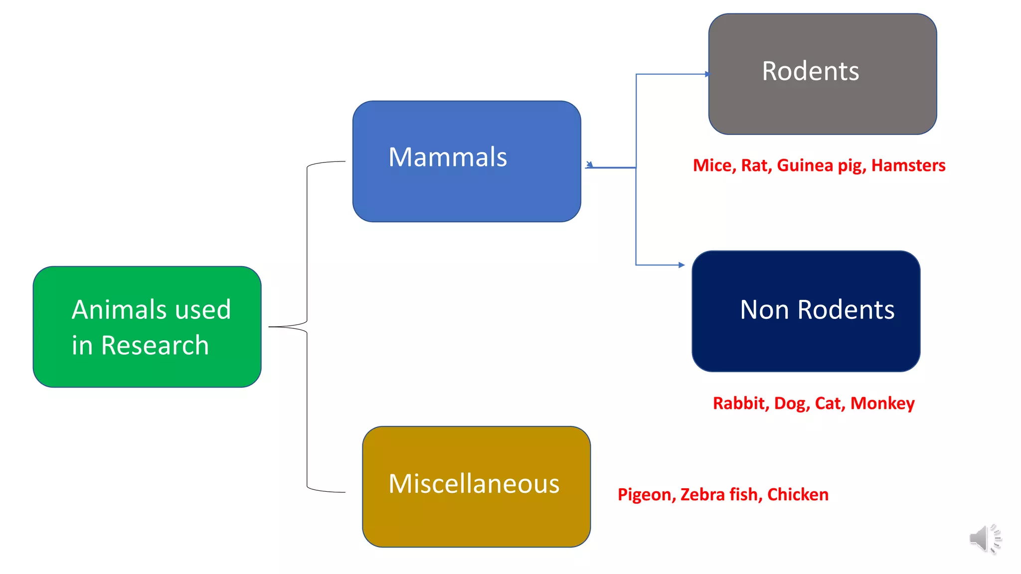 common laboratory animals part 1 | PPTX