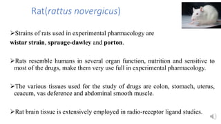common laboratory animals part 1 | PPTX