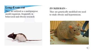 common laboratory animals part 1 | PPTX