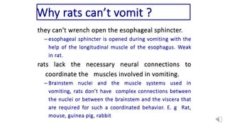 common laboratory animals part 1 | PPTX