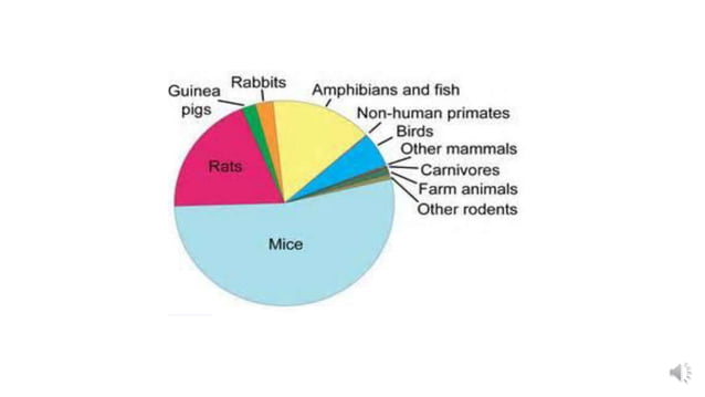 common laboratory animals part 1 | PPTX