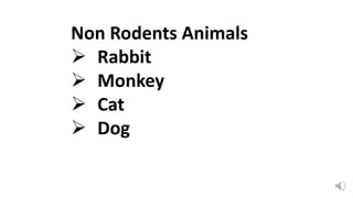 Common laboratory animals part 2 | PPTX