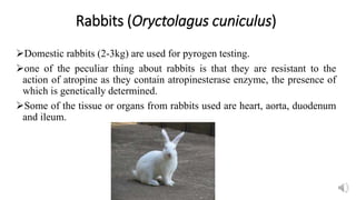 Common laboratory animals part 2 | PPTX