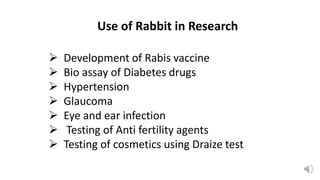Common laboratory animals part 2 | PPTX