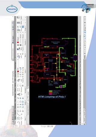 Report of Novatex Ltd | PDF