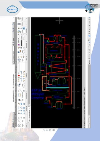 Report of Novatex Ltd | PDF