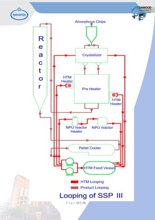 Report of Novatex Ltd | PDF