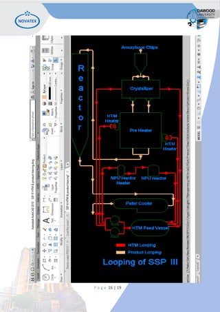 Report of Novatex Ltd | PDF