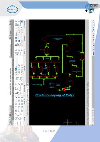 Report of Novatex Ltd | PDF