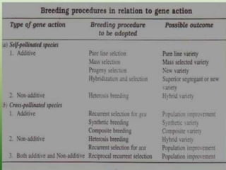 Gene action in breeding plants | PPTX
