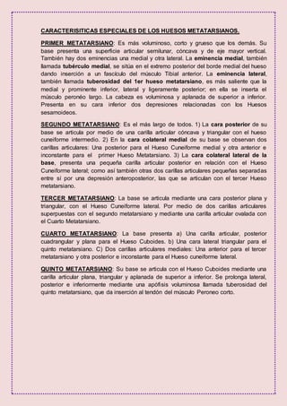 MIEMBRO INFERIOR 6. HUESOS DEL PIE | DOCX