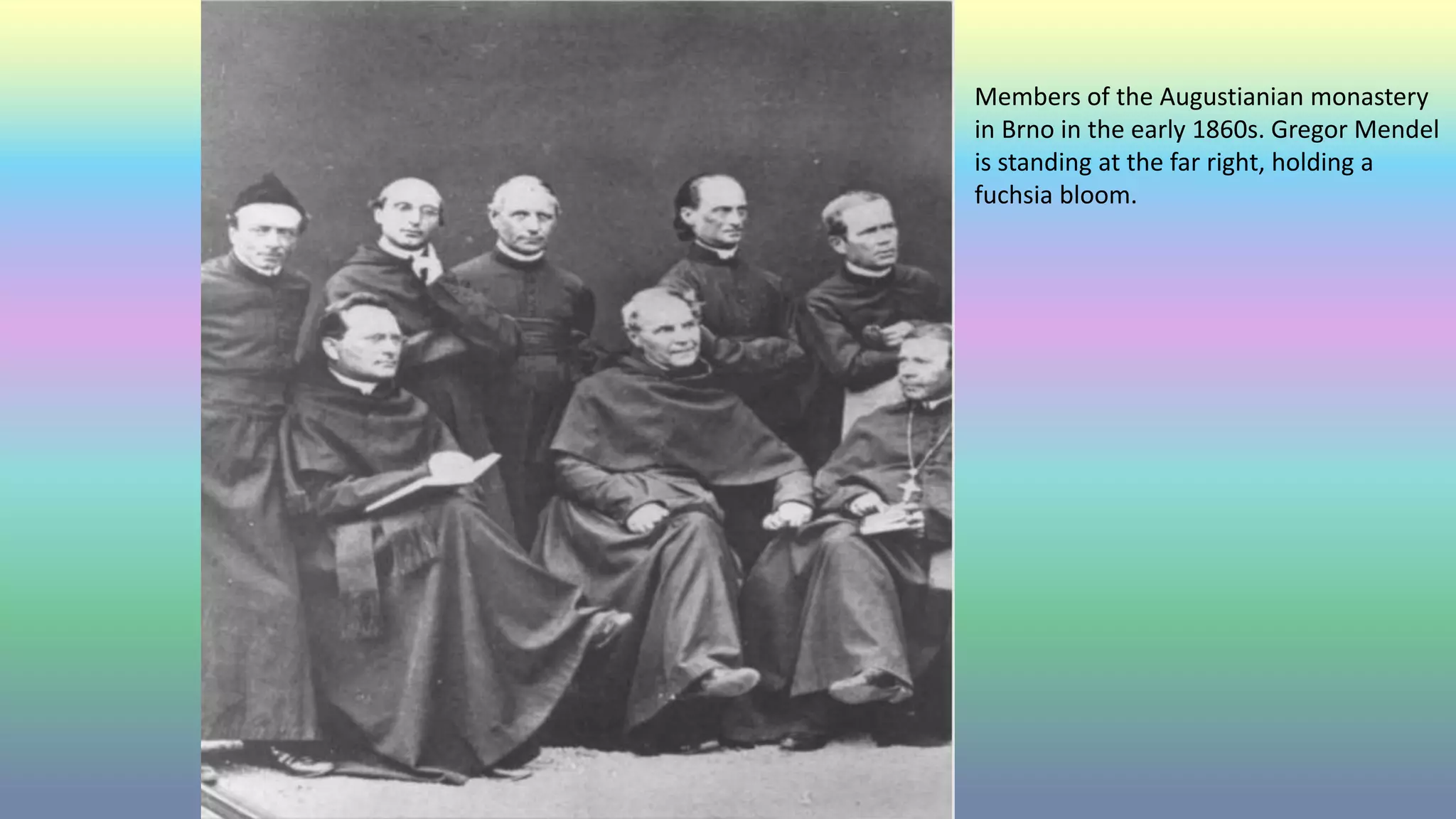 Mendel life history | PPTX