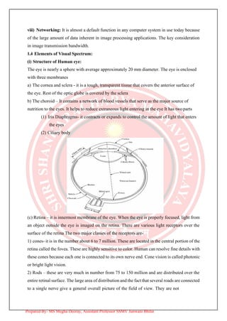 M.sc.iii sem digital image processing unit i | PDF