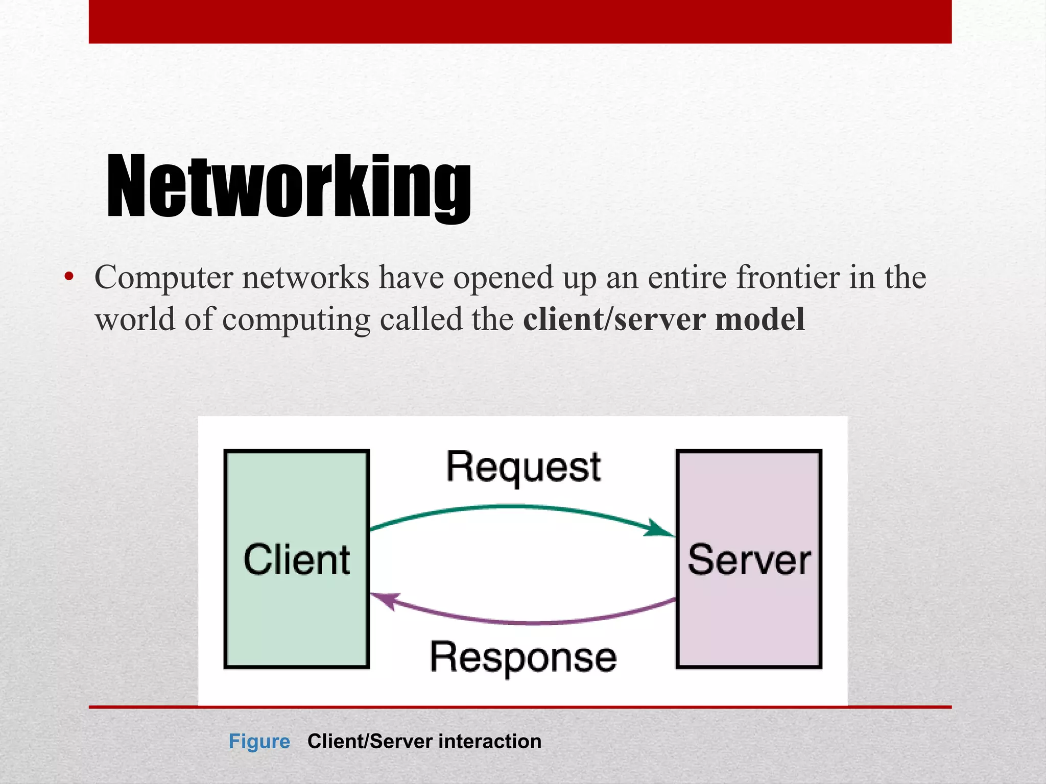 Mflorence Dayana Computer Networks Introduction Ppt