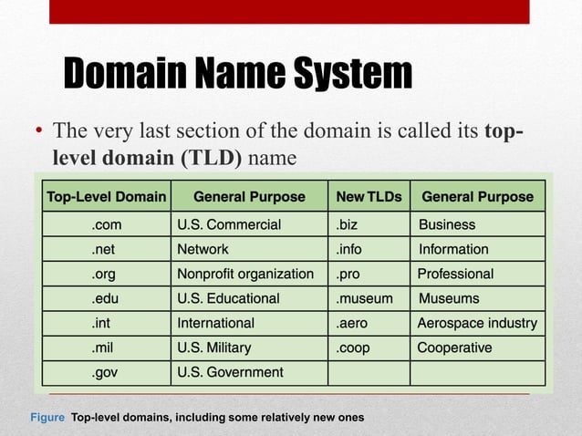 Mflorence Dayana Computer Networks Introduction Ppt