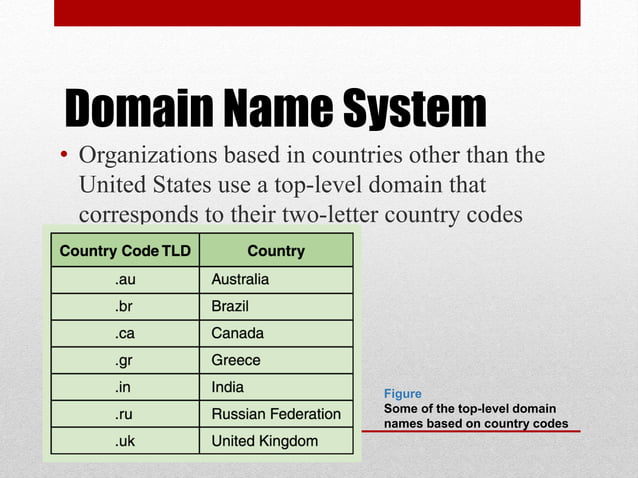 Mflorence Dayana Computer Networks Introduction Ppt