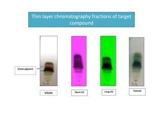 Metabolomic Profiling of Spent Biomass Of Marine Microalgae, Chlorella ...