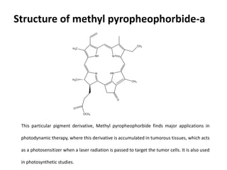 Metabolomic Profiling of Spent Biomass Of Marine Microalgae, Chlorella ...