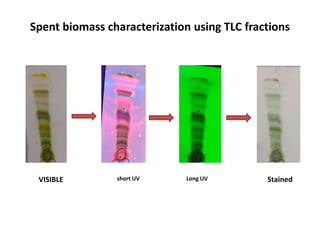 Metabolomic Profiling of Spent Biomass Of Marine Microalgae, Chlorella ...