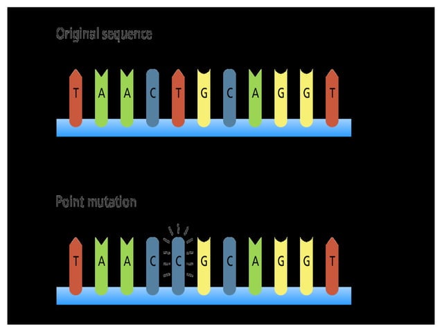 M.sc genetics study material | PDF