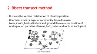 Ecological sampling | PPTX | Geology | Science