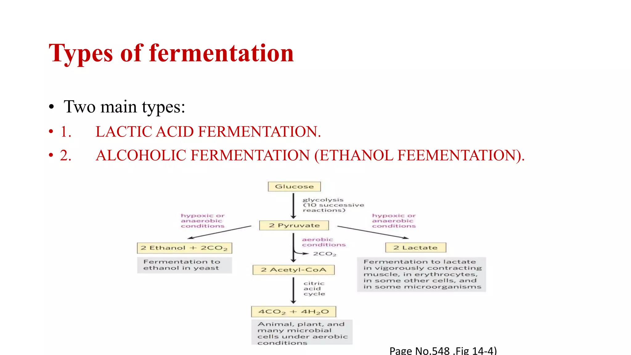 Fermentation and it's types | PPTX