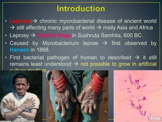M. leprae.pptx