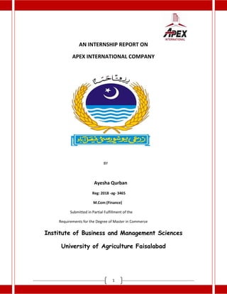 Apex International Intership Report | PDF