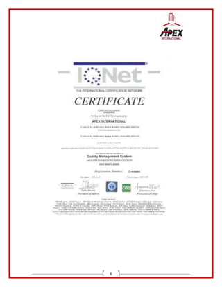 Apex International Intership Report | PDF