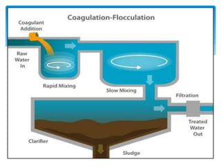 M.SC SEM2.ADITI BAJPAI.PAPER3water purification system.Z_22_40.docx.pptx