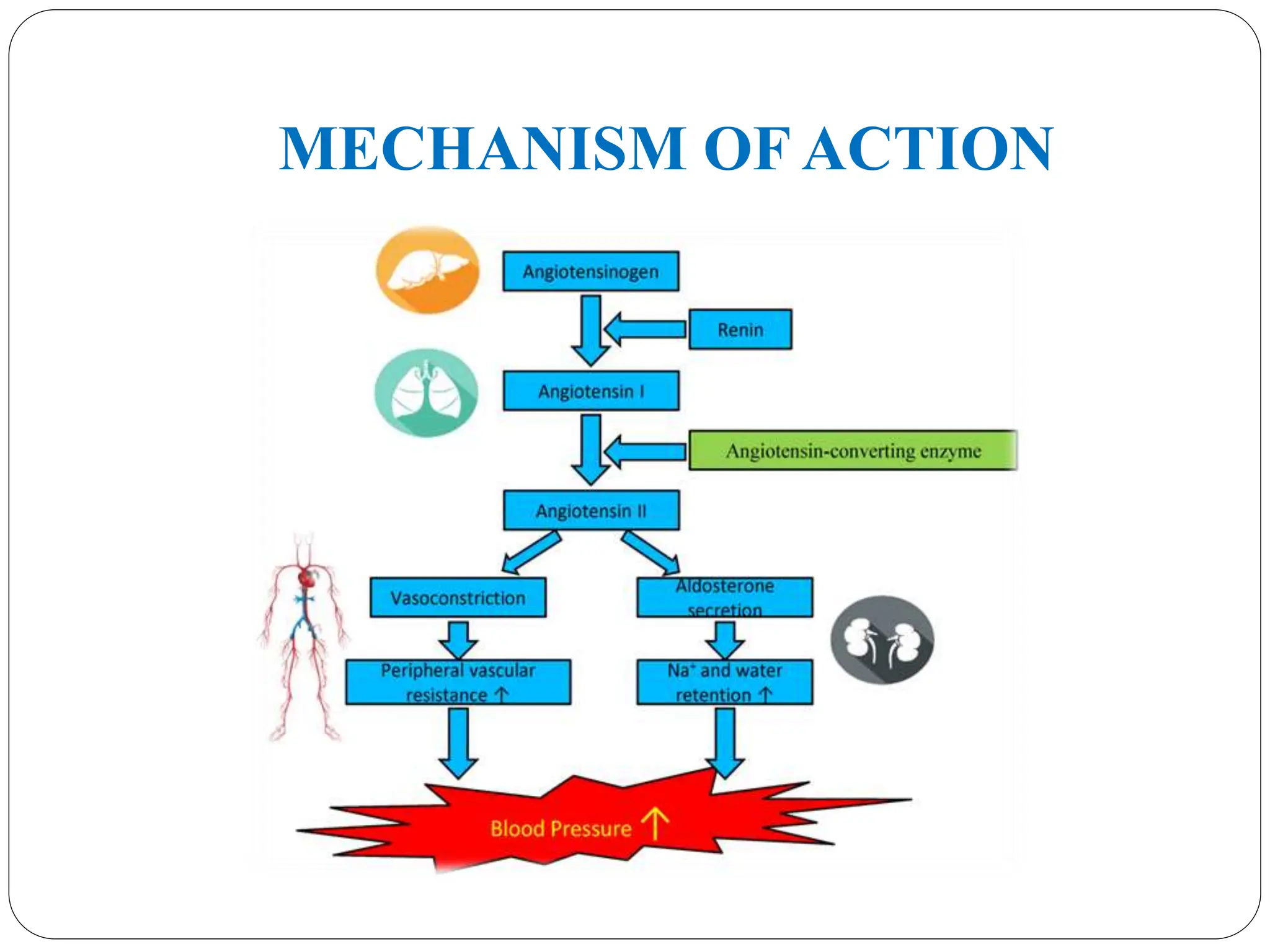 mallareddy university school of allied health sciences | PPT